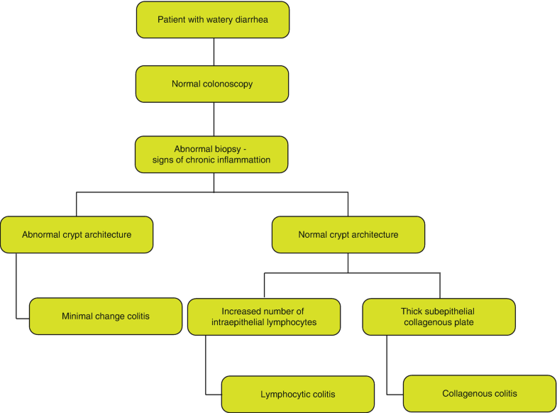 Radiation, Microscopic, Ischemic Colitis | SpringerLink