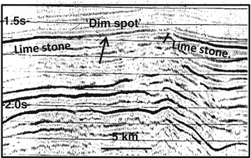Direct Hydrocarbon Indicators (DHI) | SpringerLink