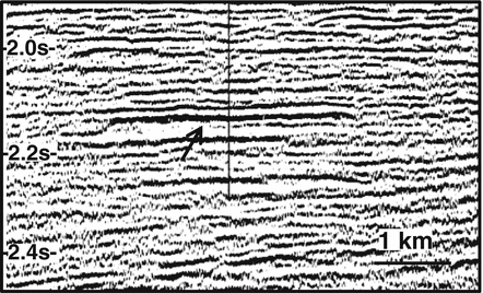 Direct Hydrocarbon Indicators (DHI) | SpringerLink