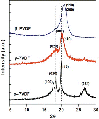 Piezoelectric PVDF Polymeric Films and Fibers: Polymorphisms ...