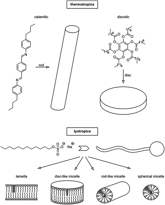 Thermotropic and Lyotropic Liquid Crystals | SpringerLink