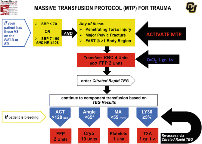 Thrombelastography (TEG®) | SpringerLink