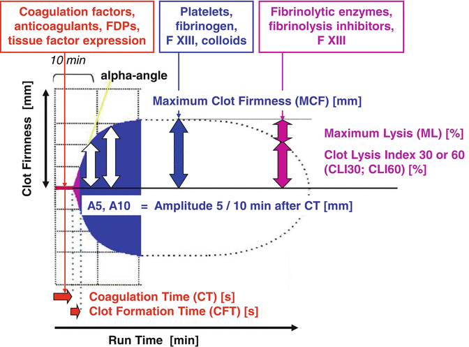 Rotational Thromboelastometry (ROTEM®) | SpringerLink