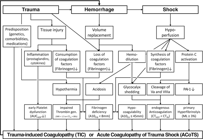 Rotational Thromboelastometry (ROTEM®) | SpringerLink