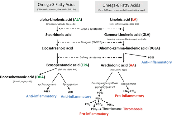 Role of Omega-3 PUFAs in Neurobiological Health | SpringerLink