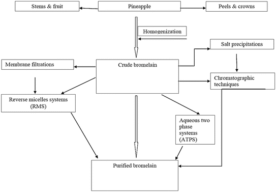 Bromelain | SpringerLink
