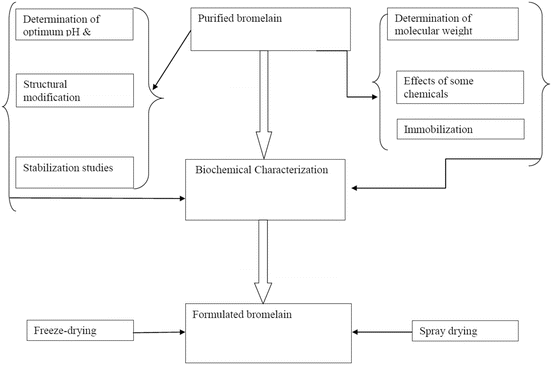 Bromelain | SpringerLink