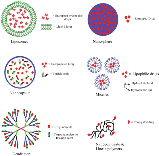 Colloidal Carriers in Ophthalmic Drug Delivery | SpringerLink