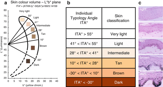 Photoprotection and Skin of Color | SpringerLink