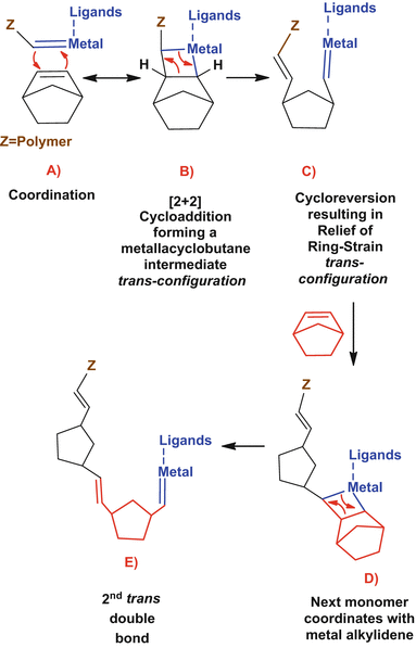 Ring-Opening Metathesis Polymerization (ROMP) Using Maleic Anhydride ...