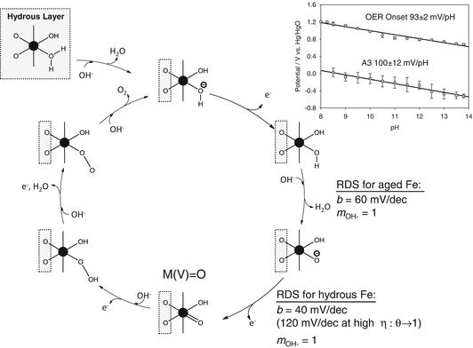 The Oxygen Evolution Reaction: Mechanistic Concepts and Catalyst Design ...