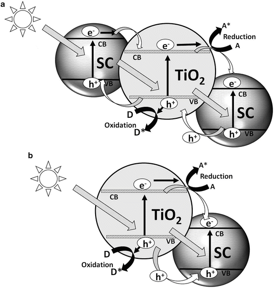 Hydrogen and CO2 Reduction Reactions: Mechanisms and Catalysts ...