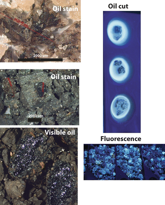 Drilling, Mud-Logging, Wireline Logs and Cores | SpringerLink
