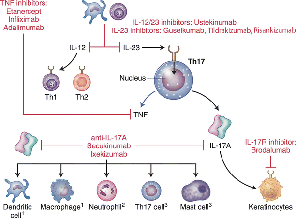 Biologic Therapies for Psoriasis | SpringerLink