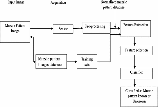 Feature Selection and Recognition of Muzzle Point Image Pattern of Cattle by Using Hybrid Chaos ...