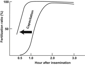 The Acrosome Reaction: A Historical Perspective | SpringerLink