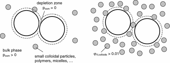 Fundamentals in Colloid Science | SpringerLink