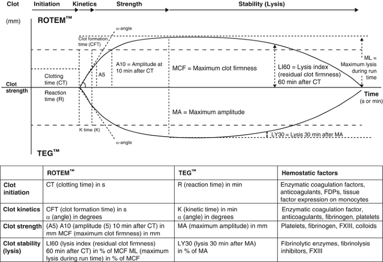 Whole Blood Assay: Thromboelastometry | SpringerLink