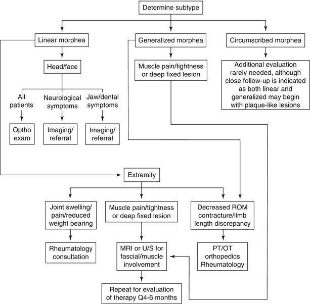 Morphea (Localized Scleroderma) | SpringerLink