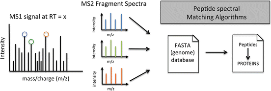 Label-Free Quantification by Data Independent Acquisition Mass ...