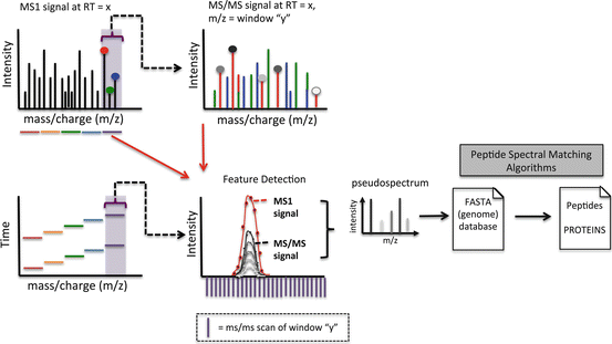 Label-Free Quantification by Data Independent Acquisition Mass ...