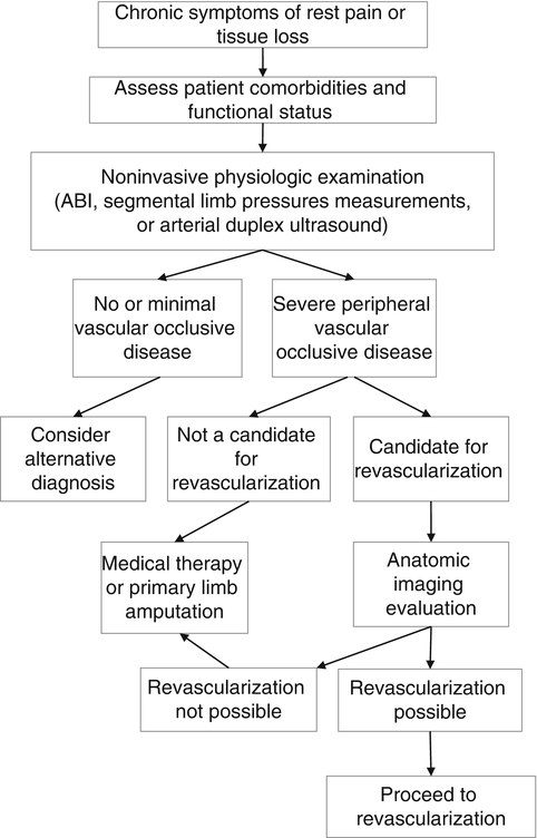 Diagnostic Approach to Chronic Critical Limb Ischemia | SpringerLink