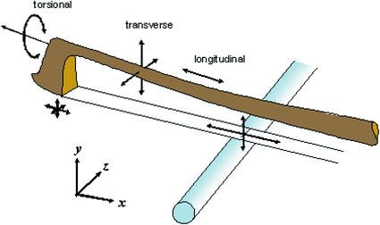 The Bow | SpringerLink