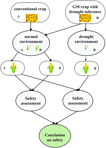 Genetically Modified Crops with Drought Tolerance: Achievements ...