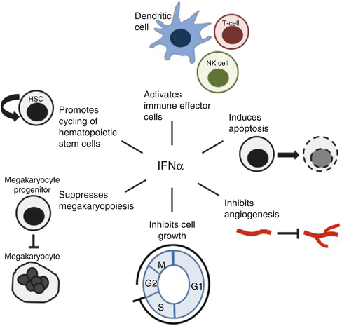 The Interferon Alpha Revival in CML | SpringerLink