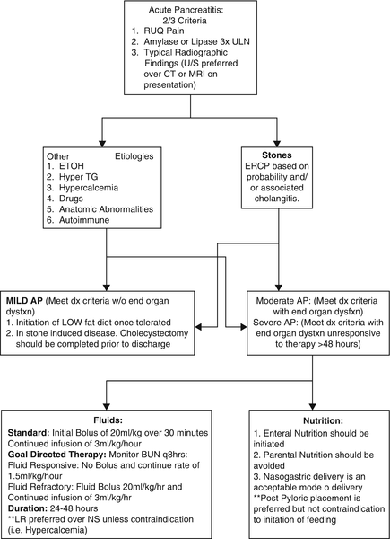Acute and Chronic Pancreatic Disease | SpringerLink