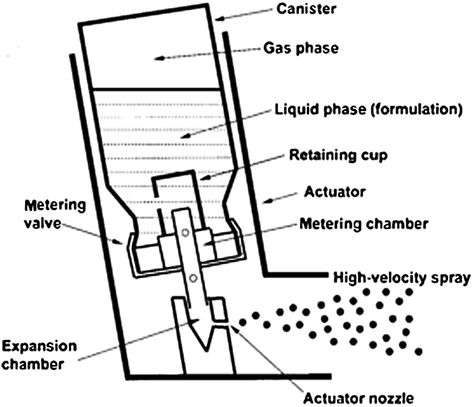 Design Characteristics of Inhaler Devices Used for Pulmonary Delivery ...