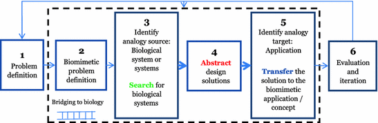The Biomimicry Design Process: Characteristics, Stages and Main Challenge | SpringerLink