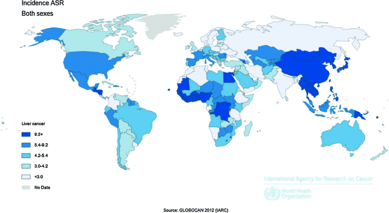 Epidemiology of Hepatocellular Carcinoma | SpringerLink