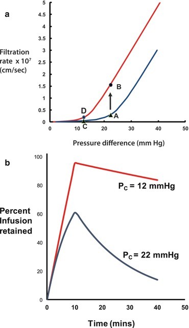 The Revised Starling Principle and Its Relevance to Perioperative Fluid ...