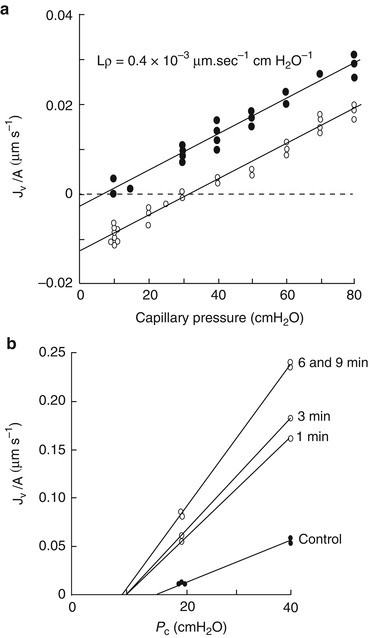 The Revised Starling Principle and Its Relevance to Perioperative Fluid ...