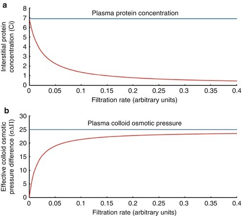 The Revised Starling Principle and Its Relevance to Perioperative Fluid ...