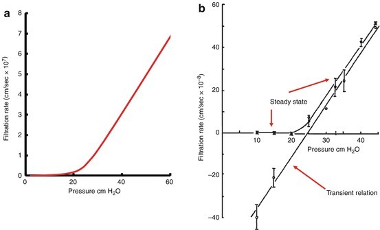 The Revised Starling Principle and Its Relevance to Perioperative Fluid ...