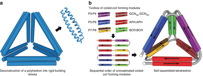 Designed Protein Origami | SpringerLink