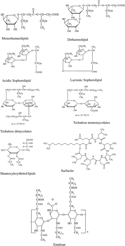Classification and Properties of Biosurfactants | SpringerLink