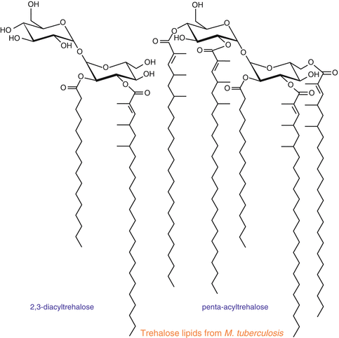 Classification and Properties of Biosurfactants | SpringerLink