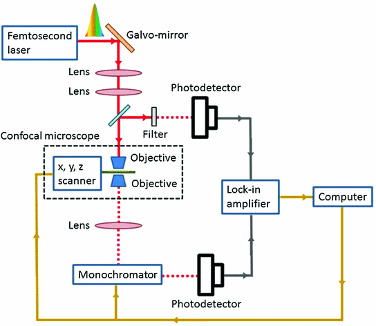 Nonlinear Microscopy | SpringerLink