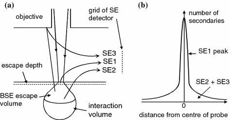 The Scanning Electron Microscope | SpringerLink