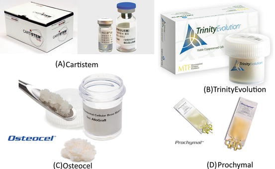 Mesenchymal Stem Cells in Clinical Applications | SpringerLink