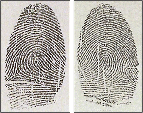 The Identification of Missing Persons Using Fingerprints | SpringerLink