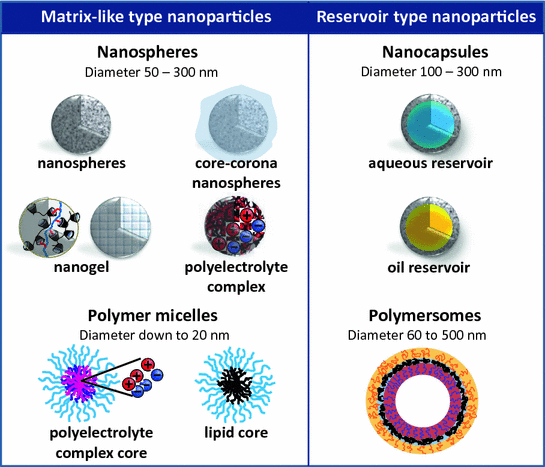 Polymer Nanoparticles for In Vivo Applications: Progress on Preparation ...