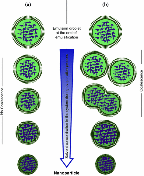 Preparation of Polymer Nanoparticles by the Emulsification-Solvent ...
