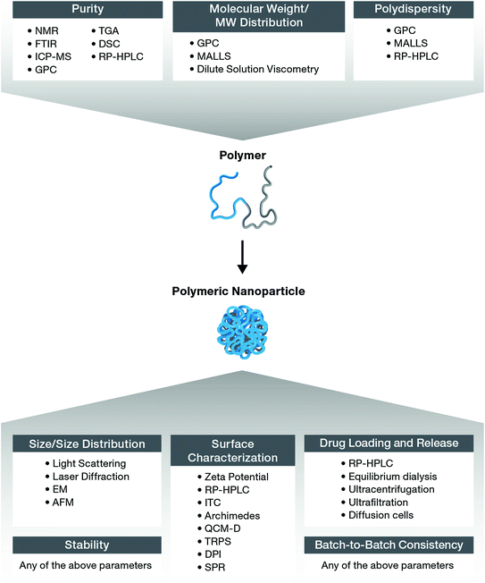 Physicochemical Characterization of Polymer Nanoparticles: Challenges ...