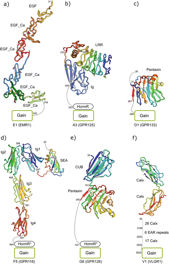 Understanding the Structural Basis of Adhesion GPCR Functions ...