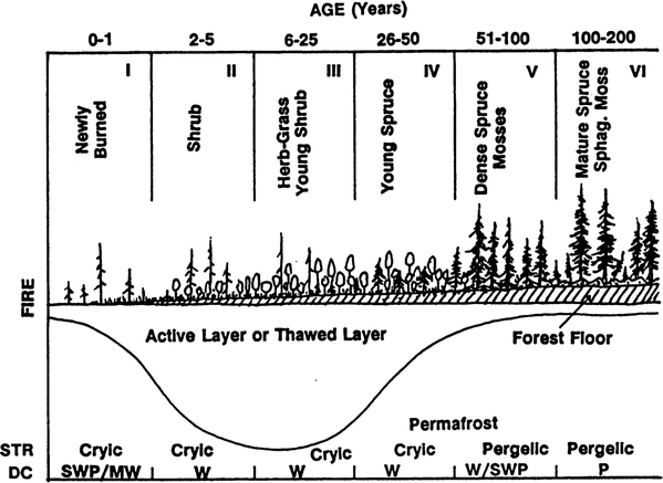 Soils of Alaska: LRRs W1, W2, X1, X2, and Y | SpringerLink