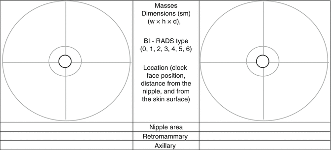 3D ABVS Technique on ACUSON S2000 ABVS | SpringerLink
